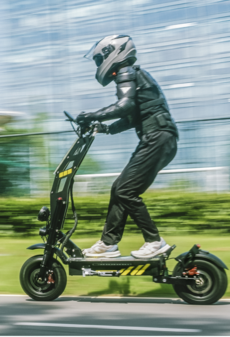 ZSNAKE