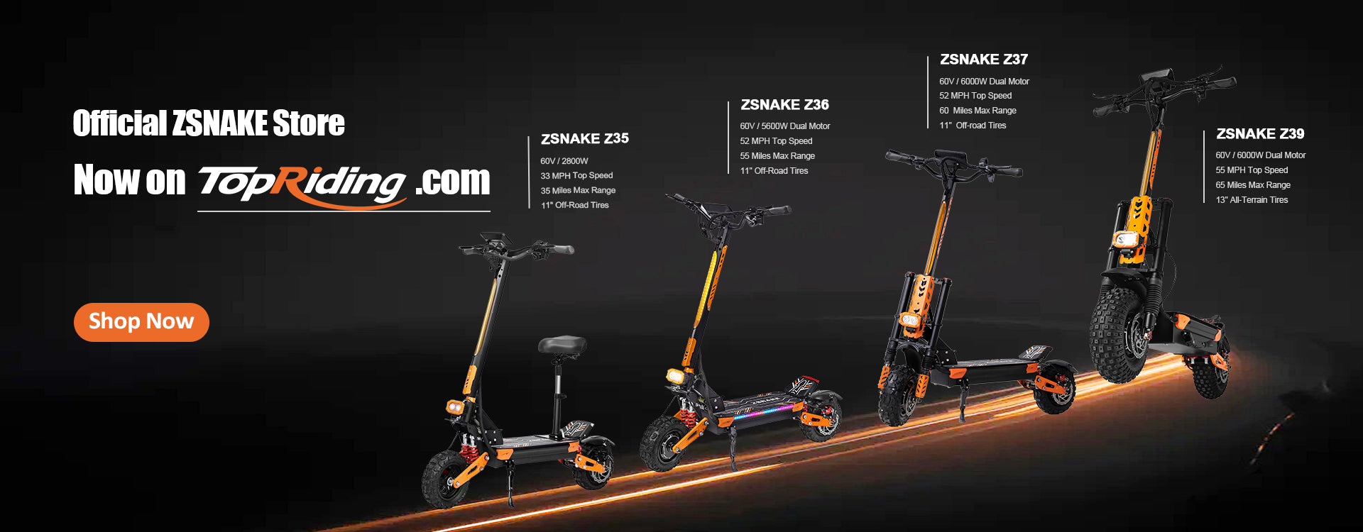 ZSNAKE