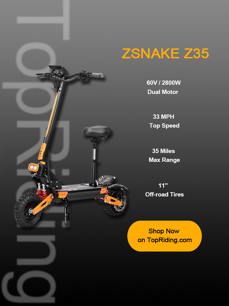 ZSNAKE