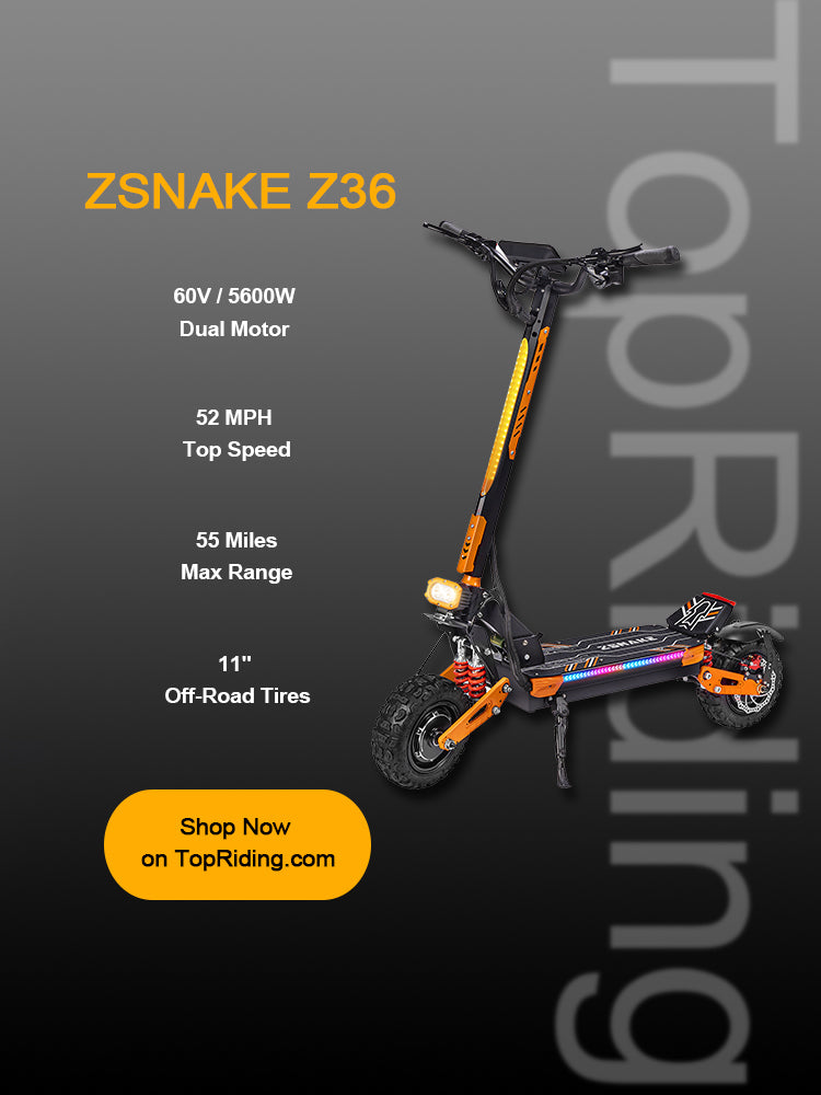 ZSNAKE