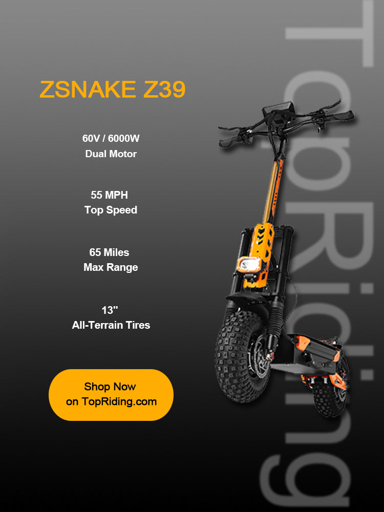 ZSNAKE
